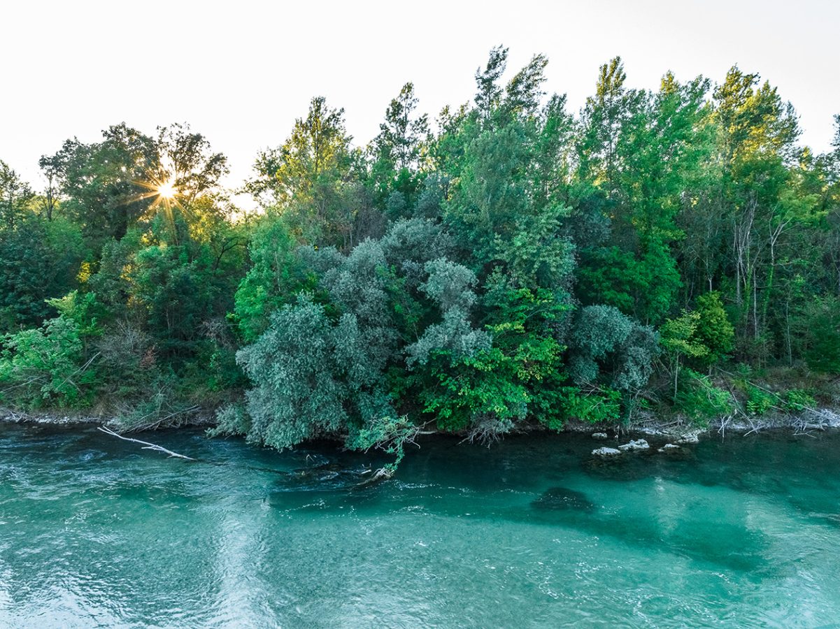 Homepage - WWF Tagliamento