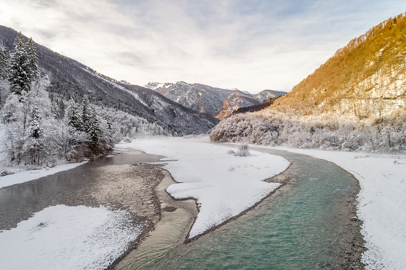 The importance of river connectivity - WWF Tagliamento