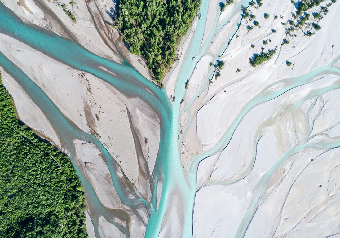 Homepage - WWF Tagliamento