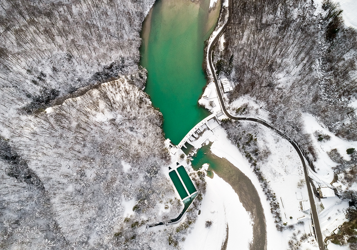 The importance of river connectivity - WWF Tagliamento